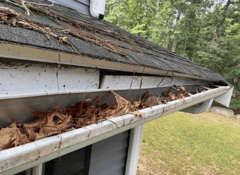 Avoid these 4 Dangers of Clogged Gutters - Istueta Roofing