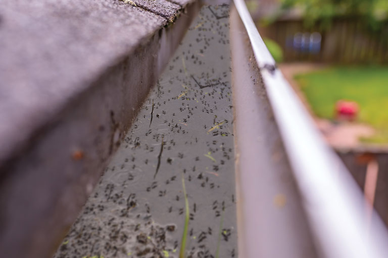Avoid these 4 Dangers of Clogged Gutters - Istueta Roofing